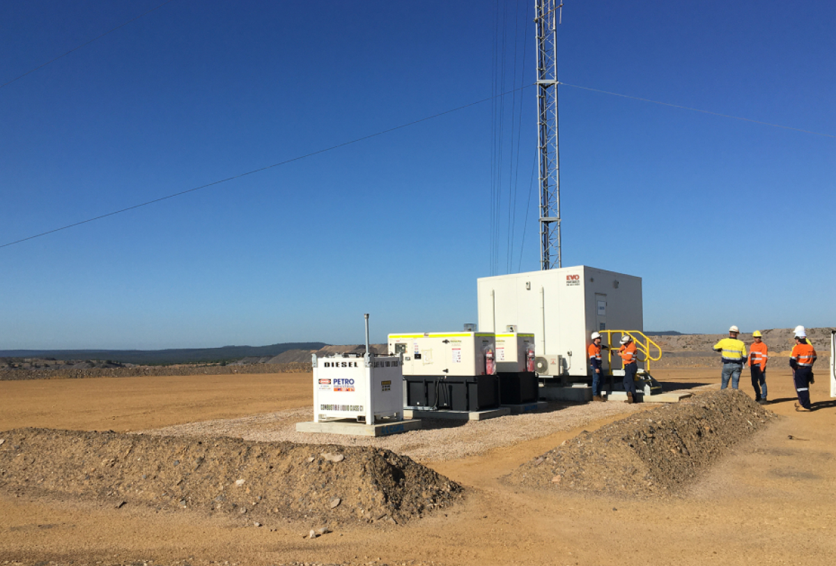 Our Projects | Genelite